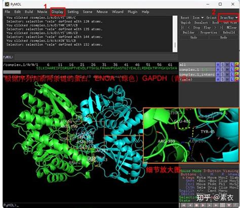 蛋白互作结构域的预测分析 知乎