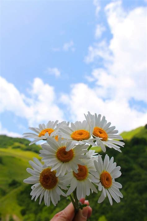 ნინოს ბლოგუნა როგორ გამოვიყენოთ ბლოგერი