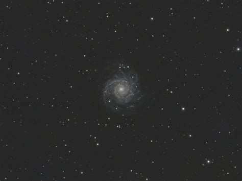 M74 Phantom Galaxy M74 Phantom Galaxy Photo Gallery Cloudy Nights