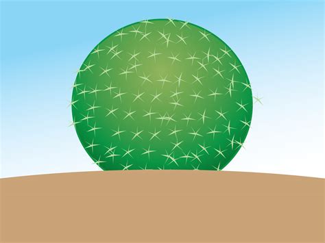 Ways To Find Direction Without A Compass WikiHow