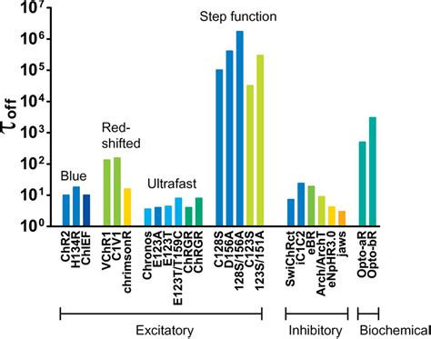 An Illustration Of Some Of The Currently Available Optogenetic