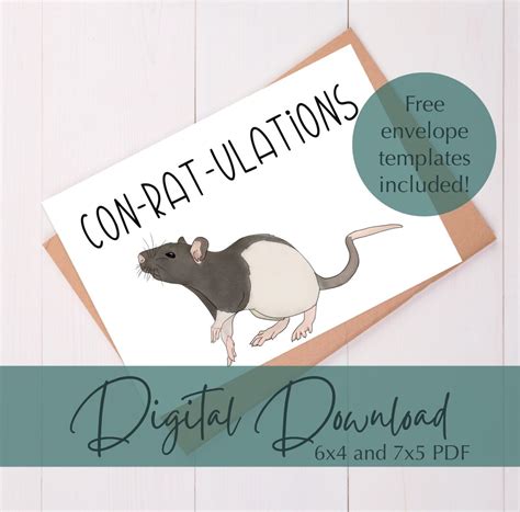 Rat Congratulations Card Funny Rat Congratulations On Etsy