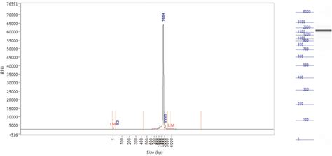 Enriching and Characterizing T Cell Repertoires from ʹ Barcoded Single