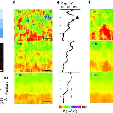 Simulations Of Heterogeneous Diffusion Zones A Scheme Of The Diffusion Download Scientific