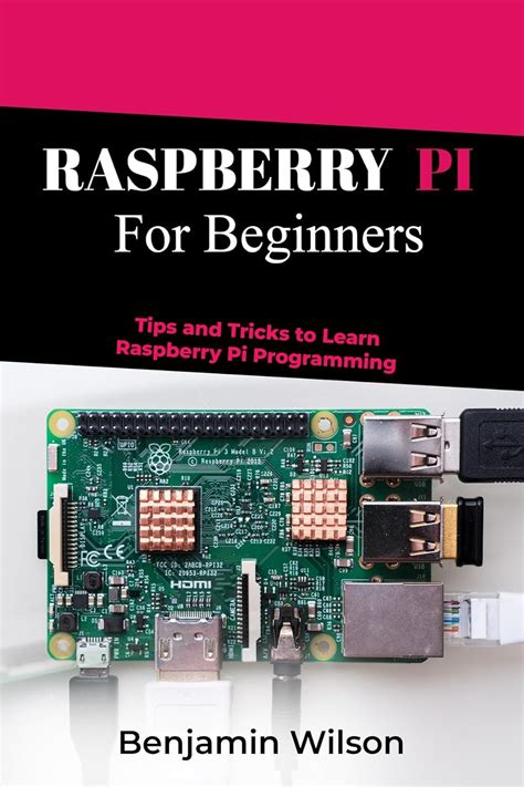 Raspberry Pi For Beginners Tips And Tricks To Learn Raspberry Pi Programming Ebook Wilson