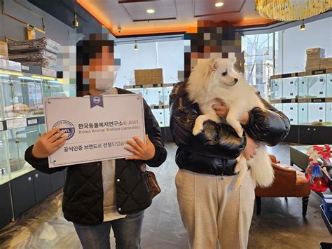 포메라니안 깜순 화이트고양이분양 화이트비숑프리제분양사이트 화이트포메라니안분양사이트 화이트말티즈분양사이트 화이트말티푸분양사이트 화이트푸들분양사이트 화이트먼치킨분양사이트 화이트