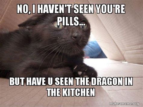 No I Havent Seen Youre Pills But Have U Seen The Dragon In The
