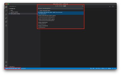 Visual Studio Code を使用して Python の開発環境をバージョンごとに構築する