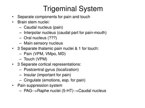 Ppt Trigeminal System Powerpoint Presentation Free Download Id2999930