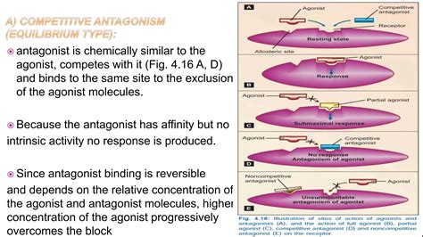 Dose Responserelationship 170301053513 Ppt
