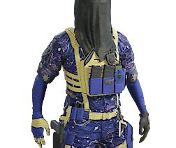 R6skin Nøkk