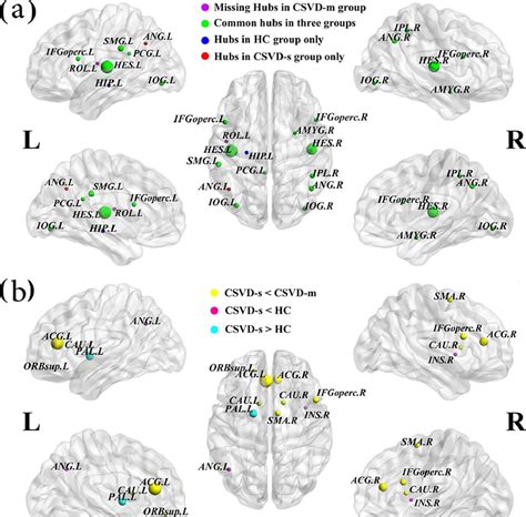 Hub Region Distributions In The Wm Structural Networks And Nodes With