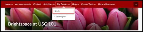 Enter Grades In The Grades Tool Usc Brightspace Help