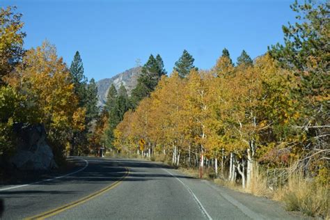A Guide To Viewing June Lake Loops Fall Colors — Make The Trip Matter
