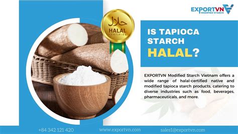 Is Tapioca Starch Halal
