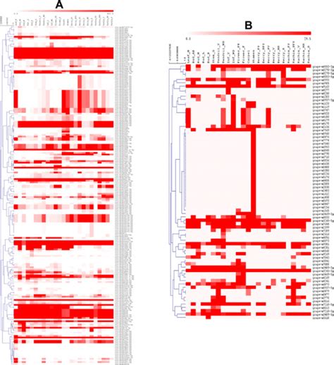 heat map and hierarchical cluster analysis hcl of mirnas identified