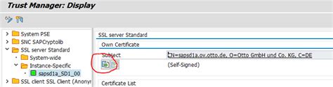 fix chrome missing subjectaltname error with sap sap community
