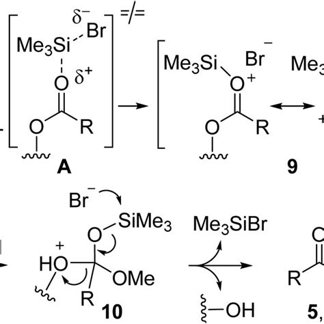 Role Of Tmsbr As Mediator For Transesterification Of Triglycerides Download Scientific Diagram