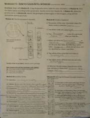 Lab Chapter 4 Inheritance Genetics Pdf WORKSHEET 5 GENETICS LESSON