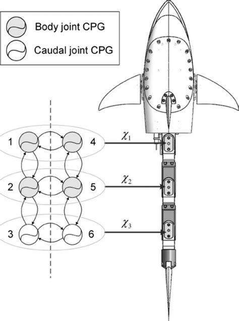 System Design Of The Robotic Fish With A Camera Stabilizer
