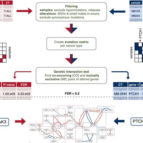 Workflow Depicting The Statistical Pipeline To Detect Genetic