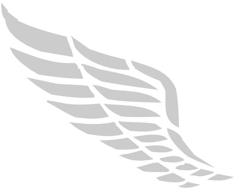 Wing 36641646 Vector Art At Vecteezy