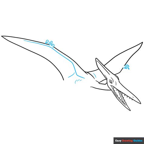 How To Draw Pterodactyl Dinosaur