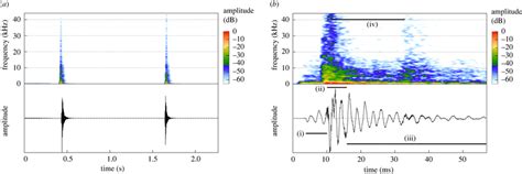 spectrograms upper and waveforms lower illustrating the acoustic