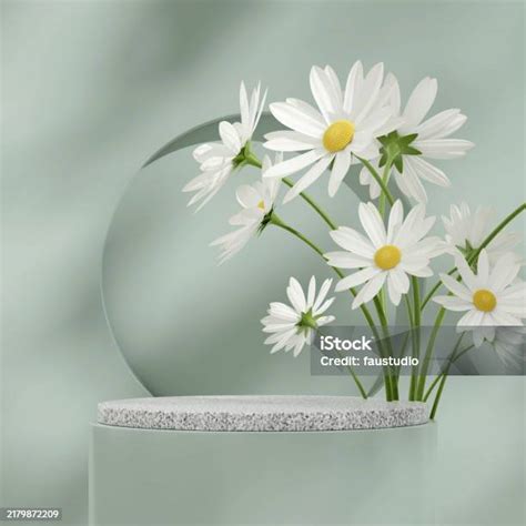 데이지 꽃과 둥근 벽 3d가 빈 장면을 렌더링하는 사각형의 흰색 화강암과 녹색 연단 0명에 대한 스톡 사진 및 기타 이미지 0명 3차원 형태 강단 Istock