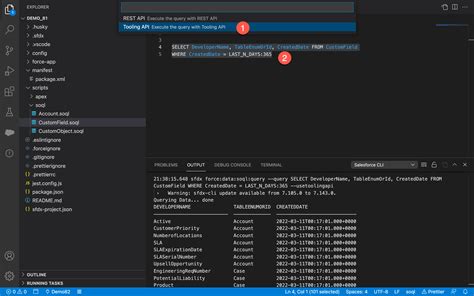 Easiest Way To Find Newly Created Objects And Fields In Salesforce Automation Champion