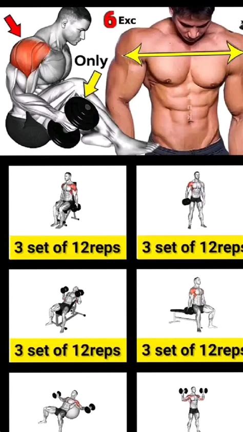 8 Ejercicios Dumbbell Workout Shoulder Workout Abs Workout