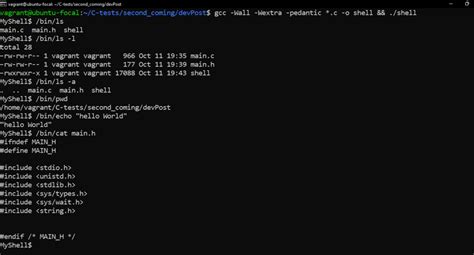 Build Your Own Shell Part 1 👨🏾‍💻 Dev Community