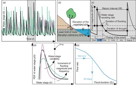 Figure 1 From Effect Of River Flow Fluctuations On Riparian Vegetation Dynamics Processes And