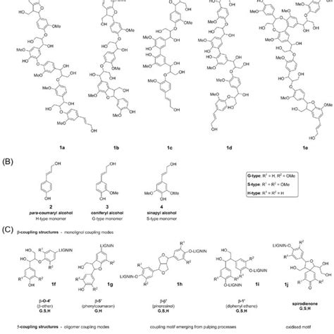 A Representative Structures Of Lignin Biopolymers B Specific