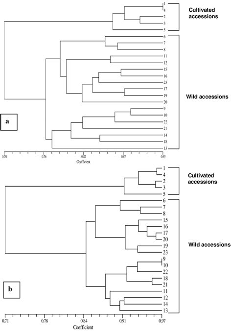 dendrograms generated using upgma of 23 accessions of w somnifera