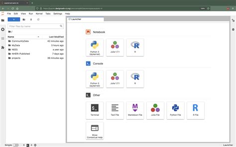 Jupyter DesignSafe User Guide