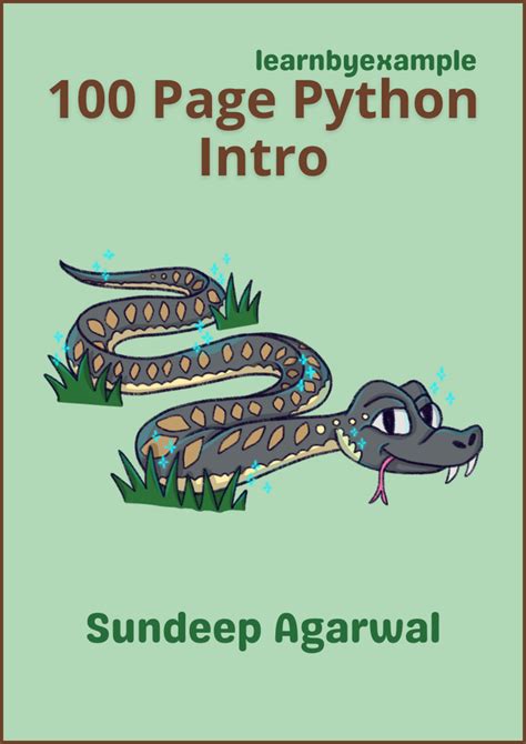 100 Page Python Intro Leanpub Pdfipadkindle
