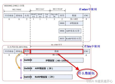 深入解析tcpip协议：udptcp区别、原始套接字与数据包剖析 Csdn博客