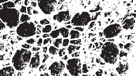 Crackle Pattern Vector Art Icons And Graphics For Free Download