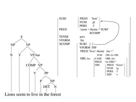Ppt Lexical Functional Grammar Powerpoint Presentation Free Download Id 6622802