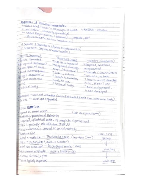 Nematodes Iandii Notes Santos Helminths Intestinal Nematodes Greek Word