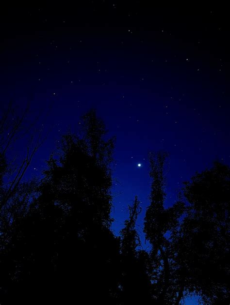 Jupiter Through The Trees Rpixelastrophoto