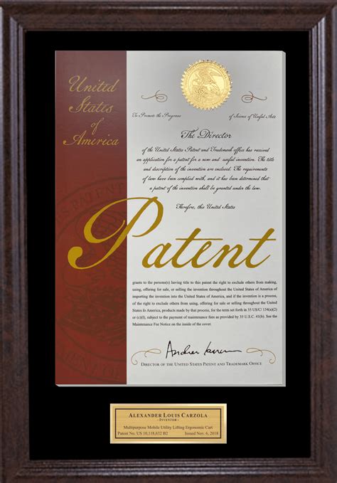 Soild Cherry Patent Display Case US Patent Services LLC