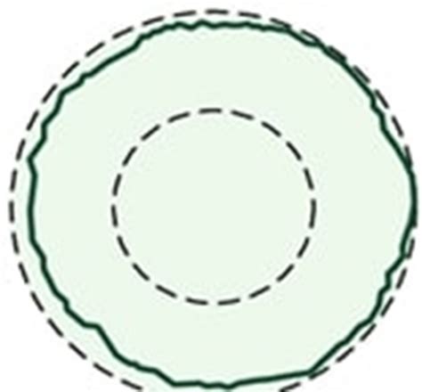Irregular Radio Pattern Doi 01 31 Download Scientific Diagram