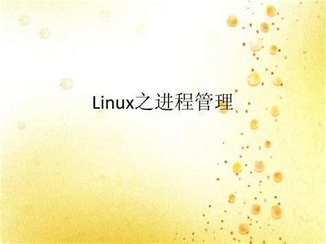 Linux之进程管理 word文档在线阅读与下载 无忧文档