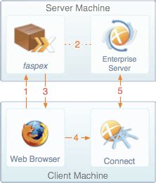 Faspex User Guide