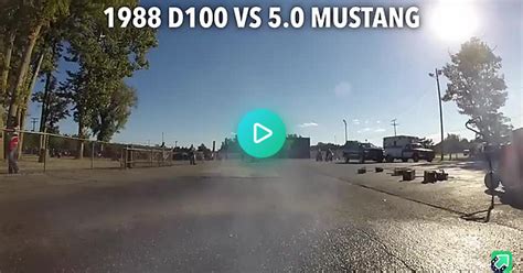 1988 Dodge D100 Vs 5 0 Mustang Album On Imgur