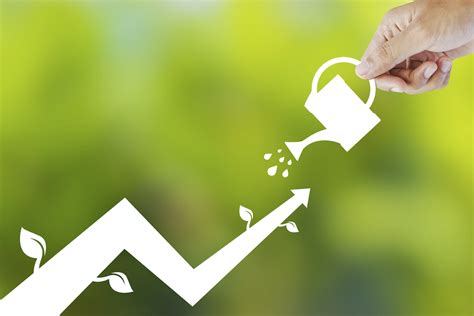 continuous web design improving and evolving your website based on