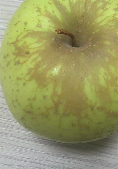 Apple Leonid Mamchenkov