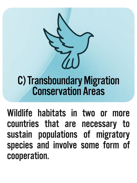 Transboundary Conservation